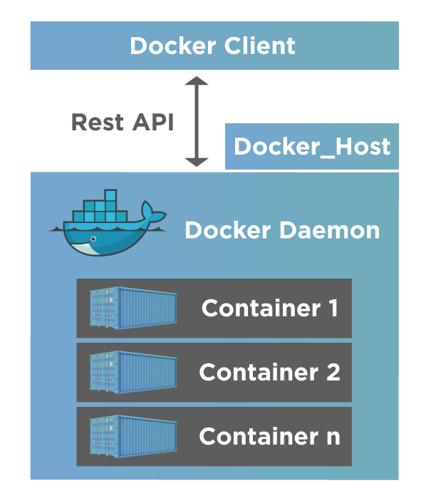 Docker Architecture: Declutter Docker and Its Workflow || ToolsQA Docker Architecture: Declutter Docker and Its Workflow || ToolsQA